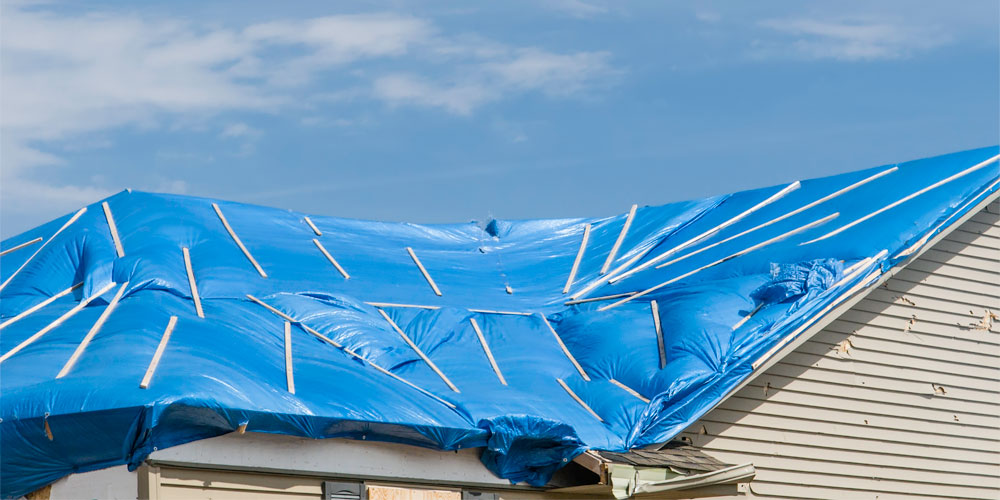 Sigman Tarp - Tarps, Canvas, Fabrics